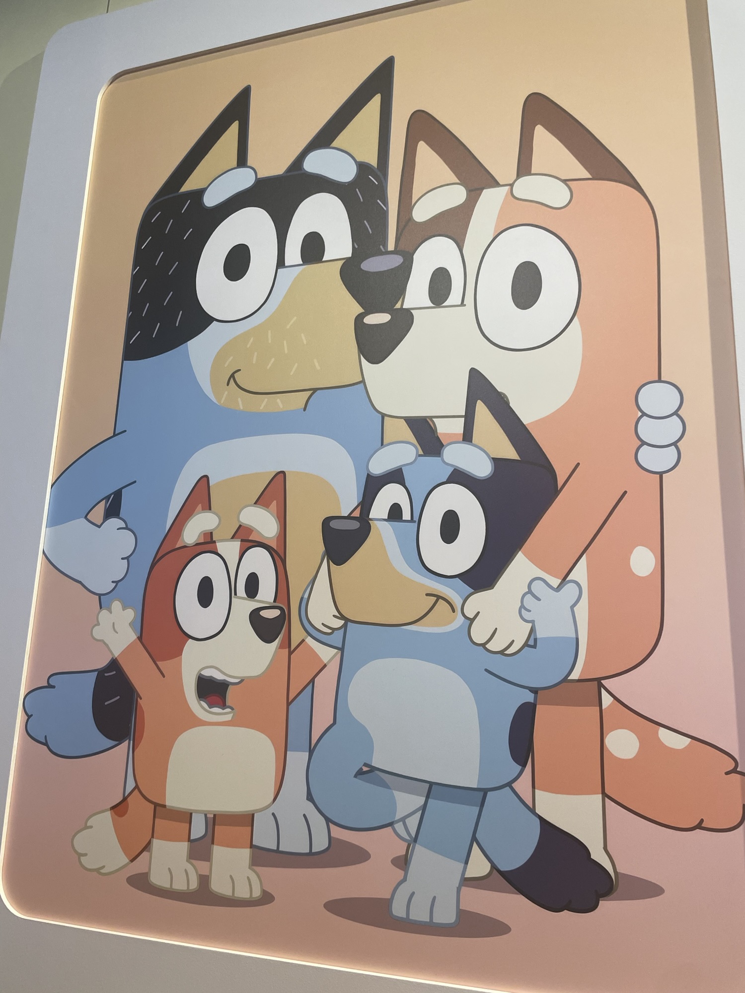 Bluey x CAMP | The Casual Explorer