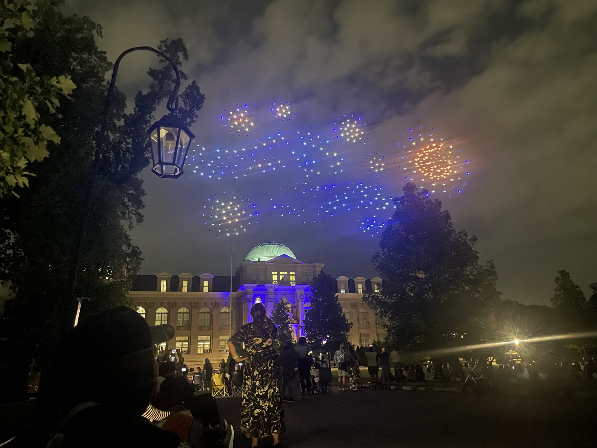 Van Gogh’s Starry Nights at NYBG | The Casual Explorer
